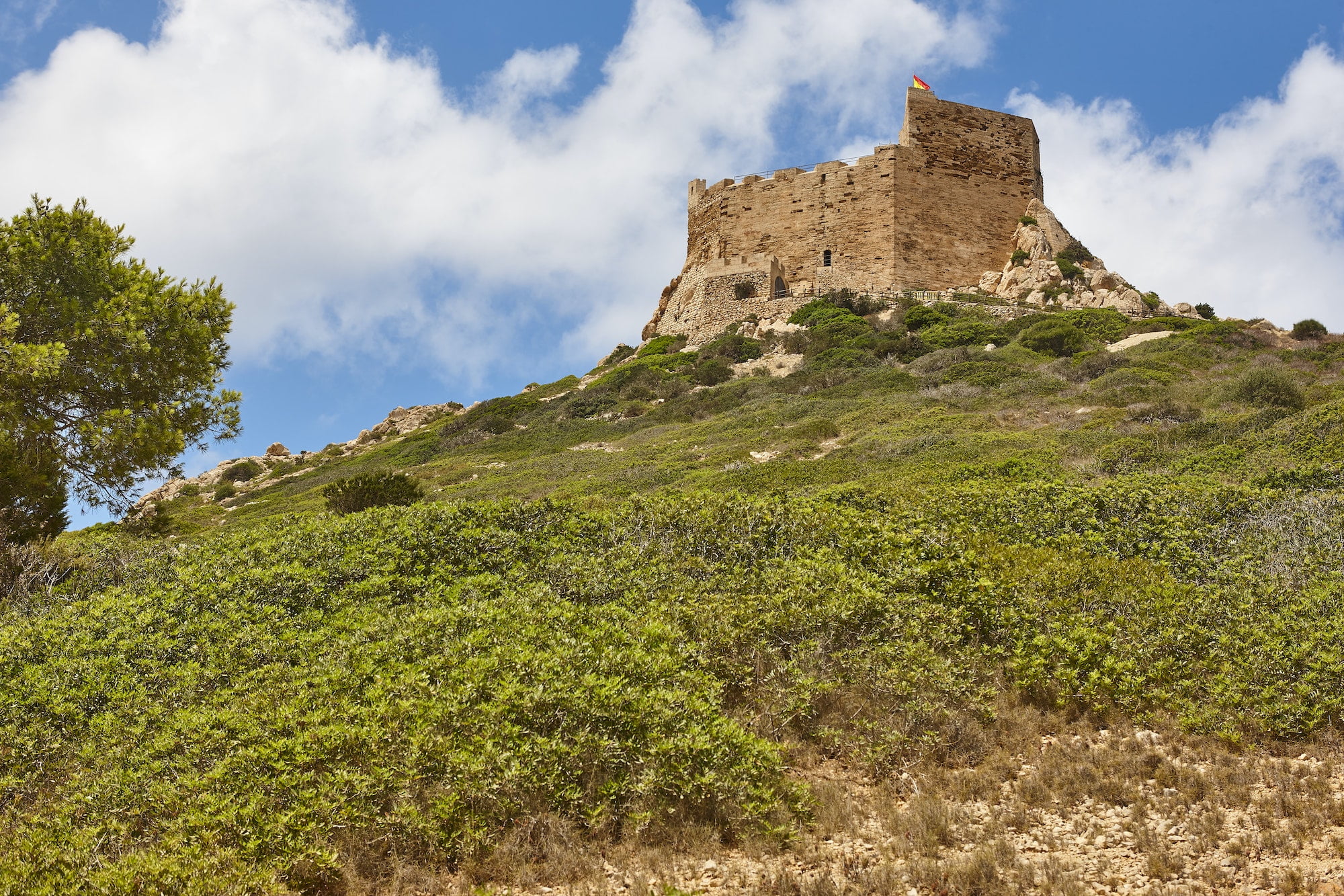 Descubre el paraíso marino: Las mejores playas y atracciones de Isla ...